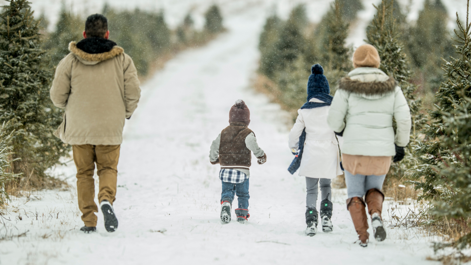 Christmas Tree Farms in Beaver County